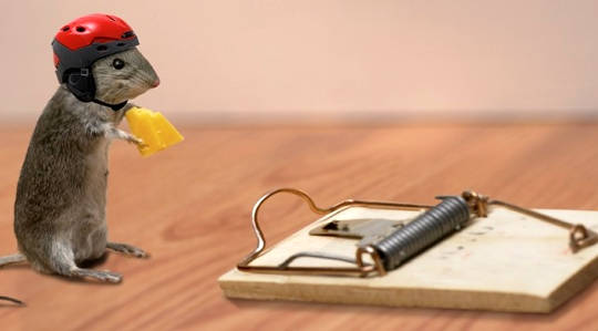30 Inspiring Quotes to Help You Develop More Perseverance and ...